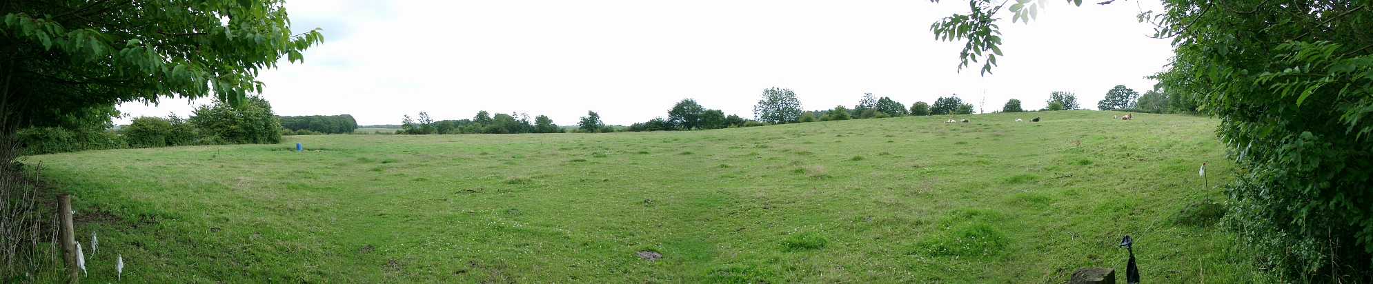 Brovold-Beschreibung